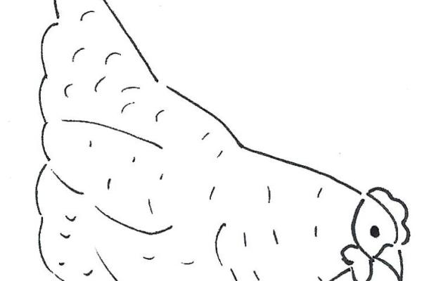 Sprüche und Spiele - Pick, pick, pick (Frau Leßmann)